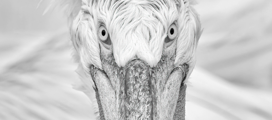 Coningsby Gallery – Homepage